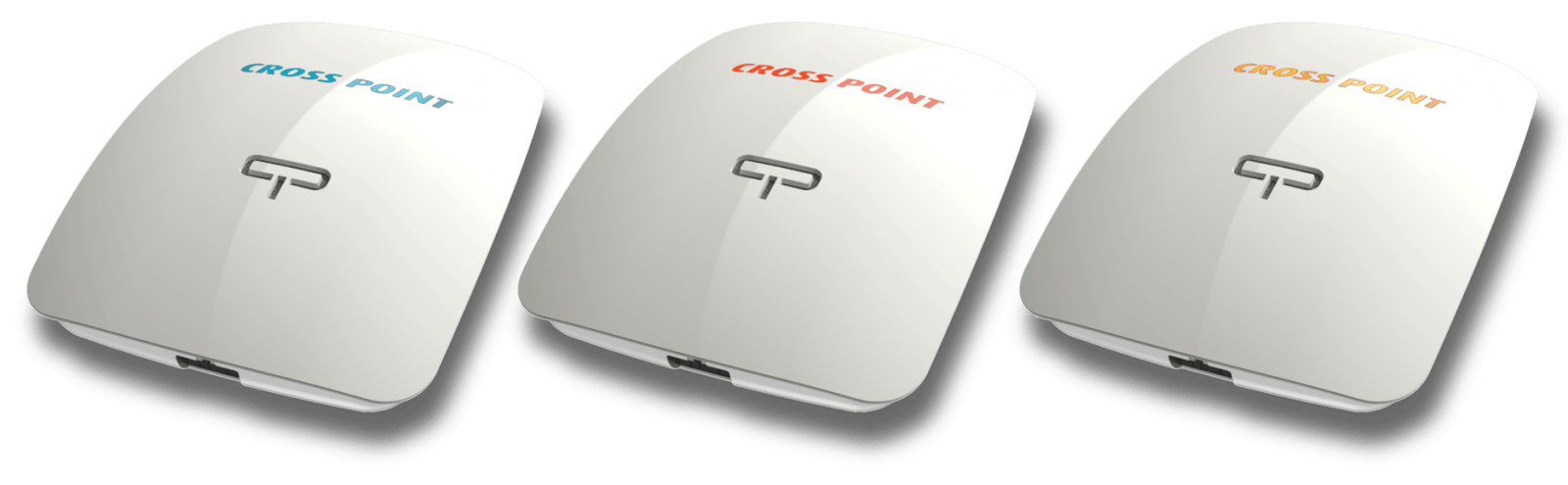 ARGUS AM - Discrete Loop System - Cross Point - Cross Point